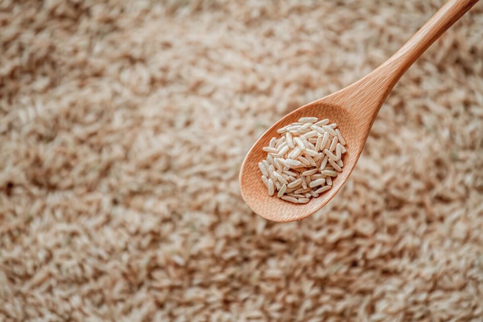 ¿Remojar el arroz integral aumenta su valor nutritivo? | Brillante