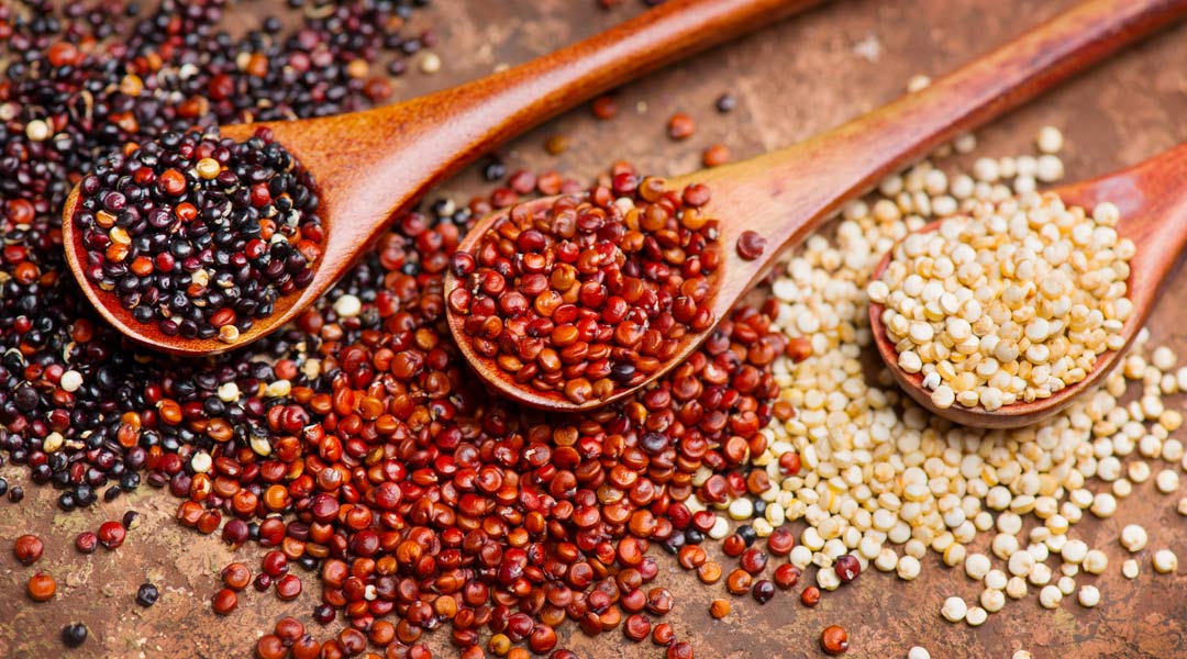 Quinoa propiedades y contraindicaciones: beneficios y riesgos | Brillante
