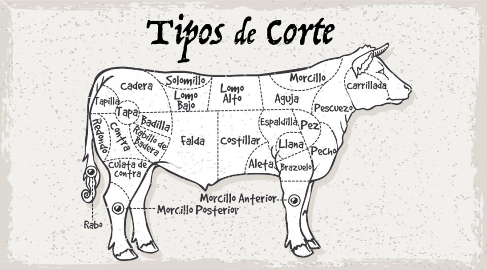 Cortes De Carne Vacuna Guía Completa De Cortes Brillante