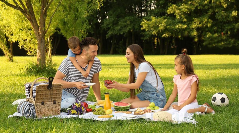 Alimentos Sin Azúcar: Guía De Opciones Saludables | Brillante